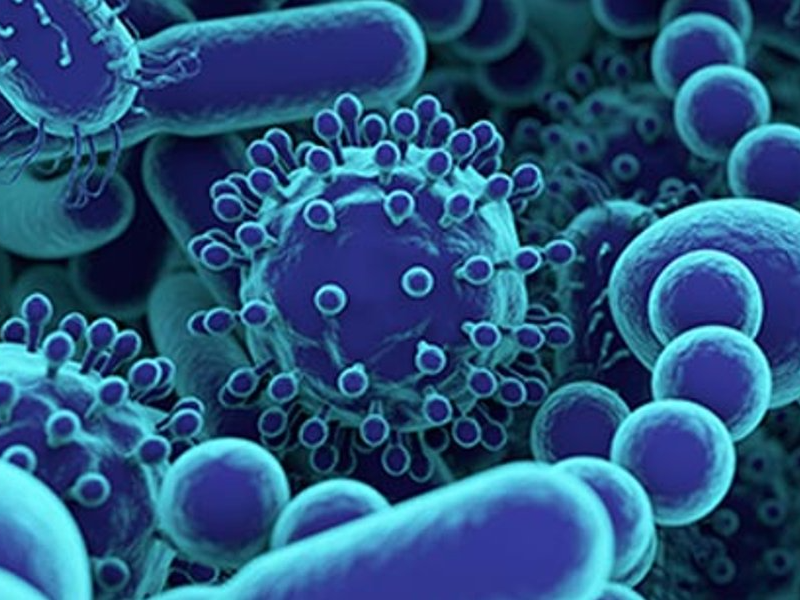 Microbiome-Driven Applications for Sustainable Food Systems Research ...